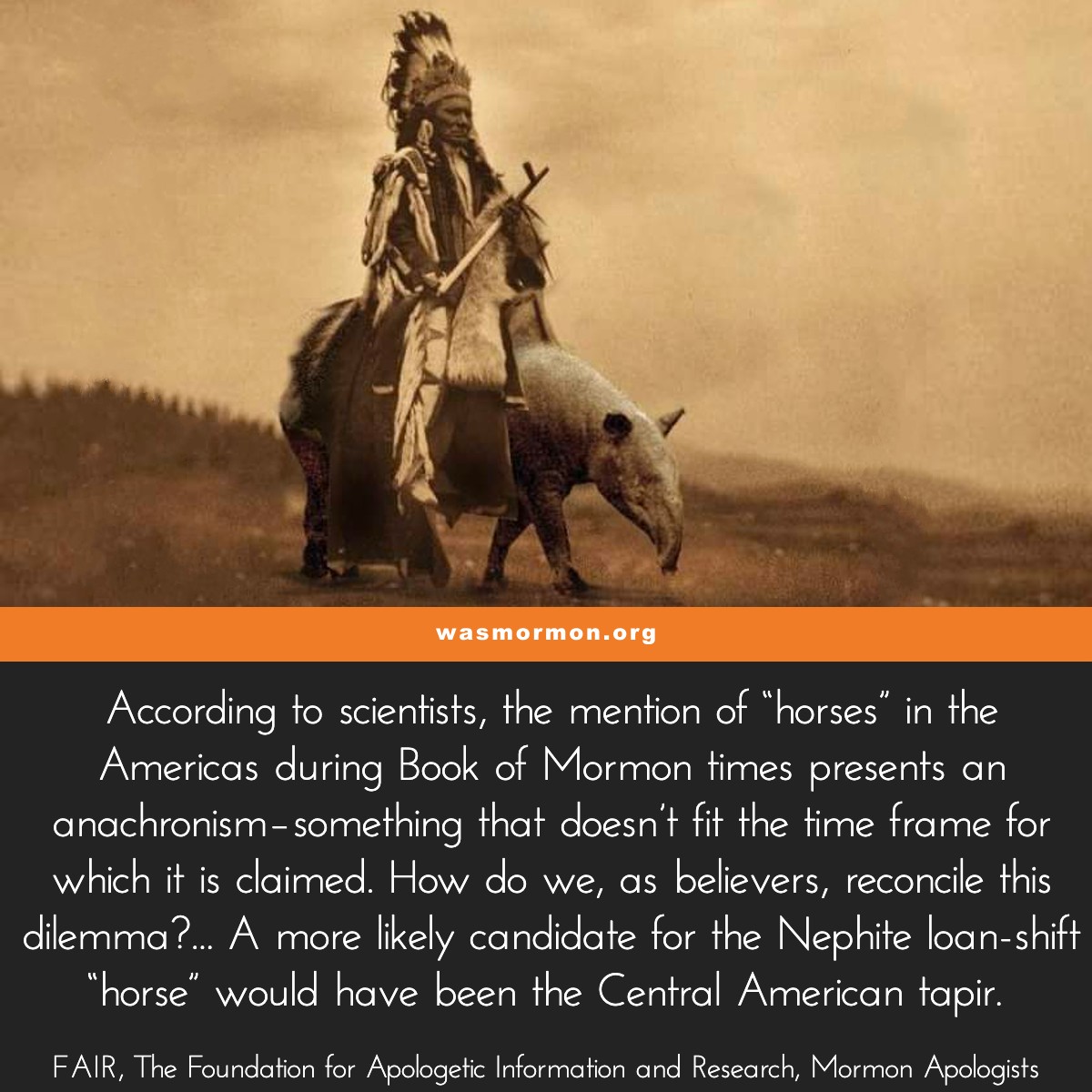 Book of Mormon Horses: Real or Myth? Or Tapirs? - wasmormon.org